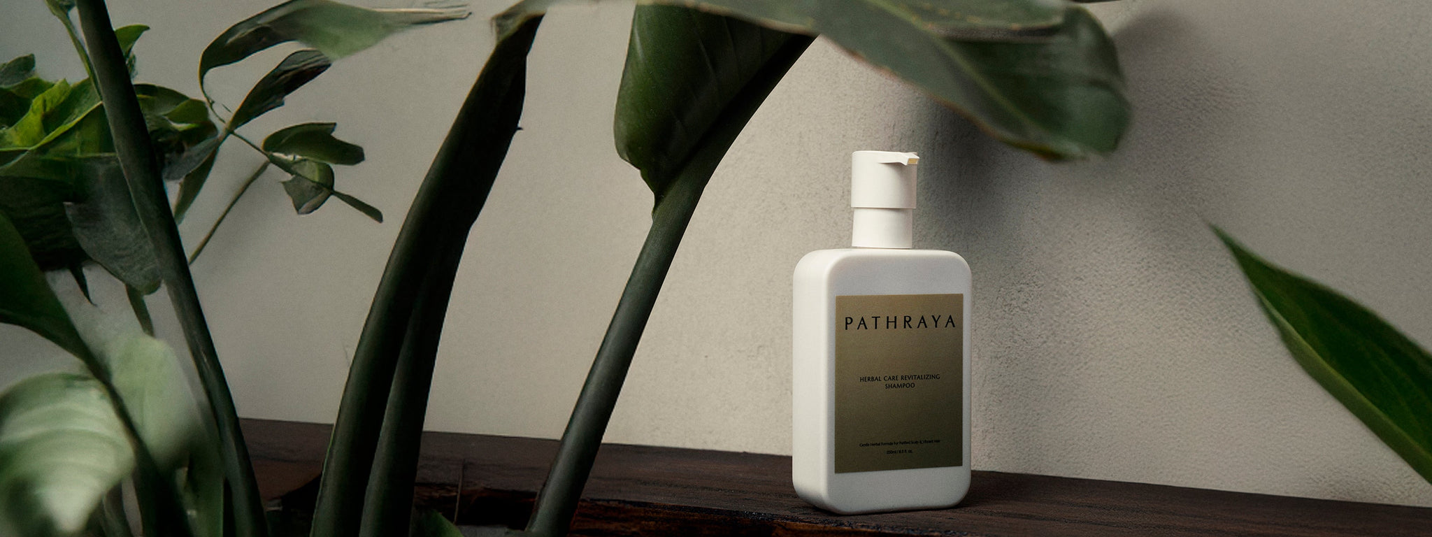 Smooth Skin Rituals: How Ancient Herbal Energy Meets Modern Solutions