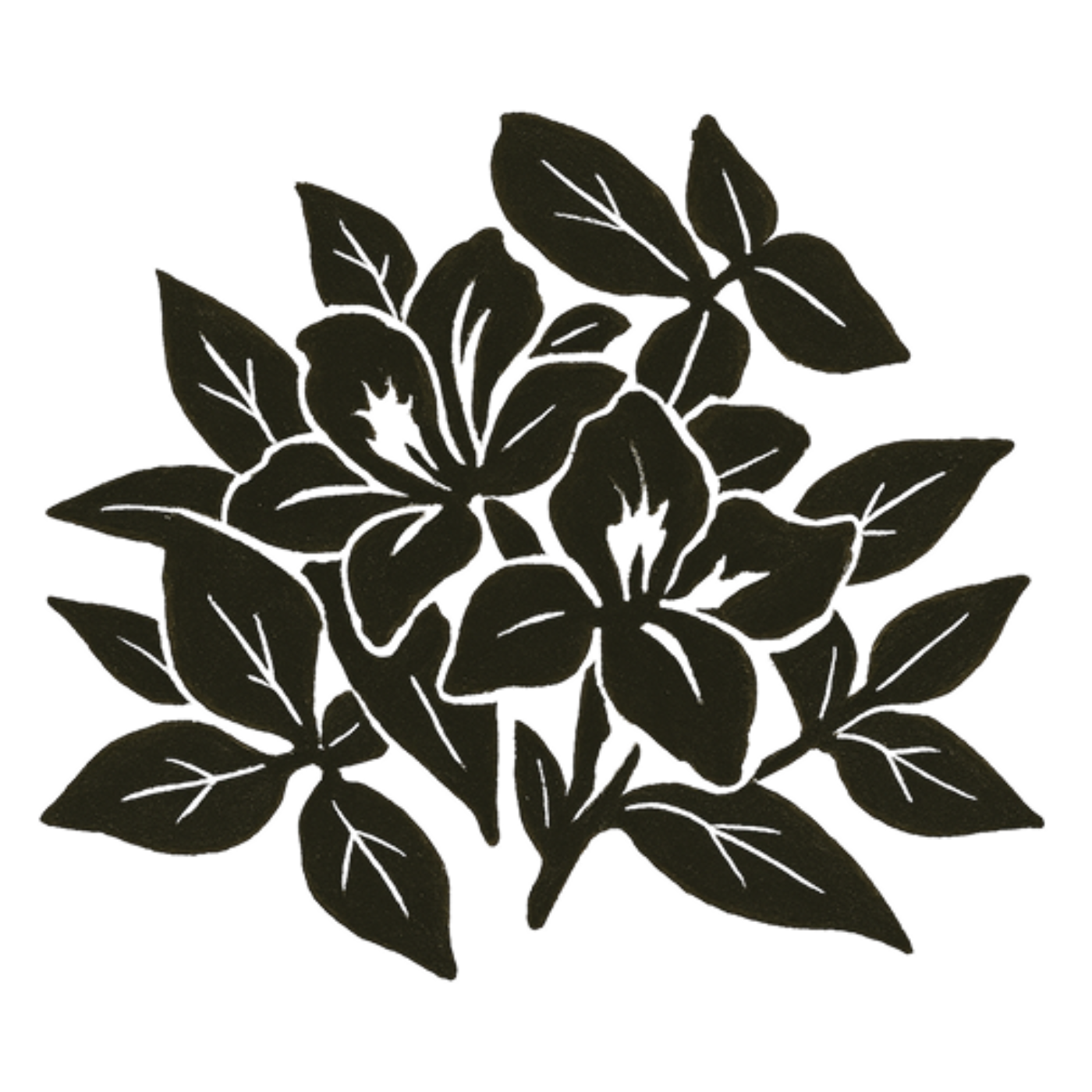 The Busy Person's Dream: Why a 3-in-1 Shampoo Body Wash is Your Shower