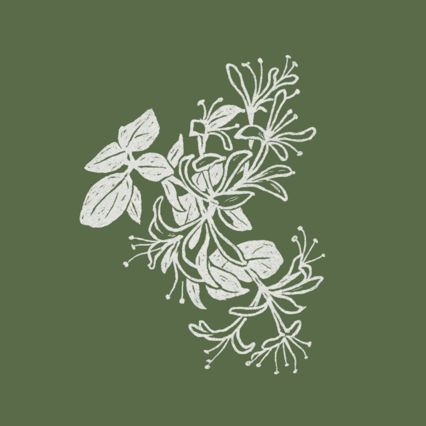 The Ultimate Guide to Nourishing Body Washes for Aging Skin