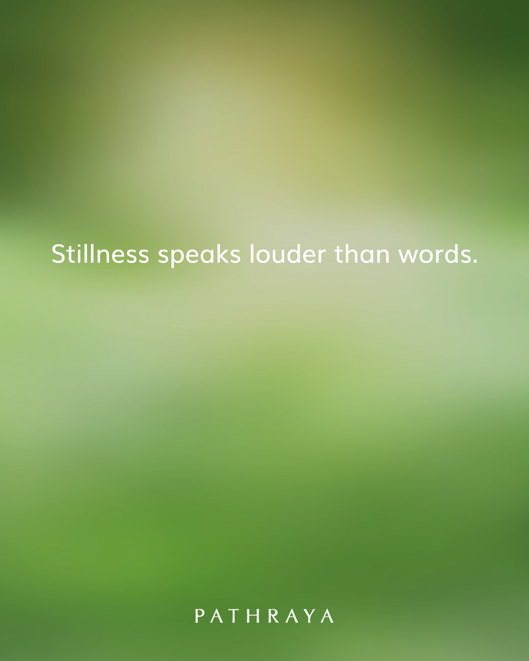 Shower Gel Showdown: Choosing Between Jack Black and Pathraya for Your